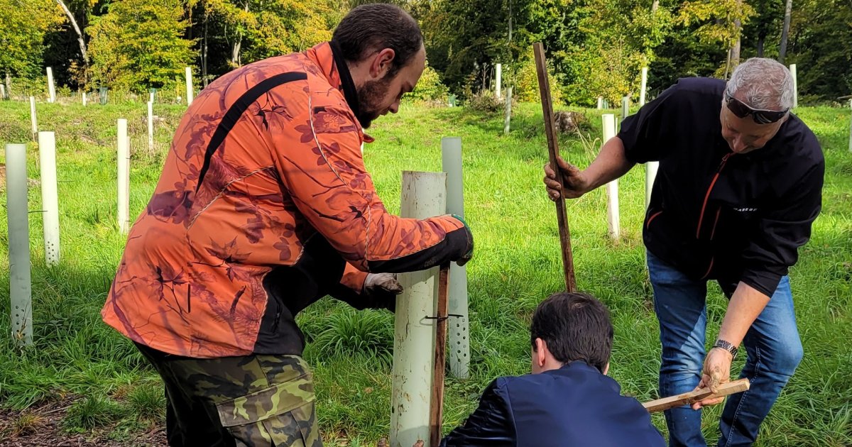 Jetzt am Projekt „Bürgerwald“ beteiligen | Stadt Bendorf